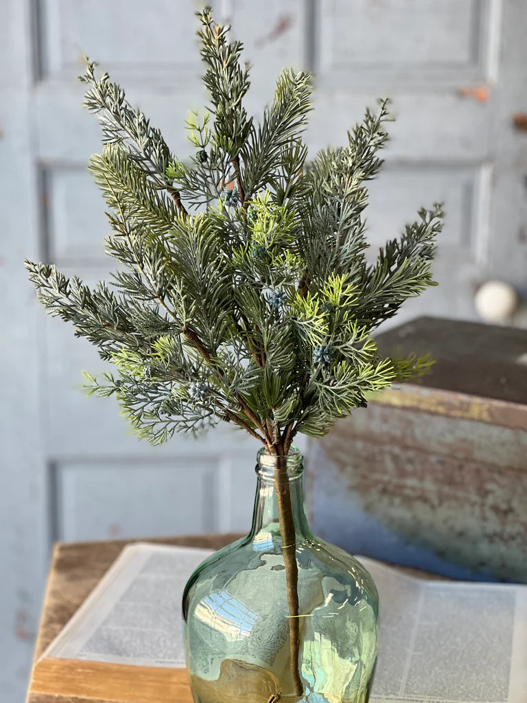 Glacier Cedar Bush – West Rowe